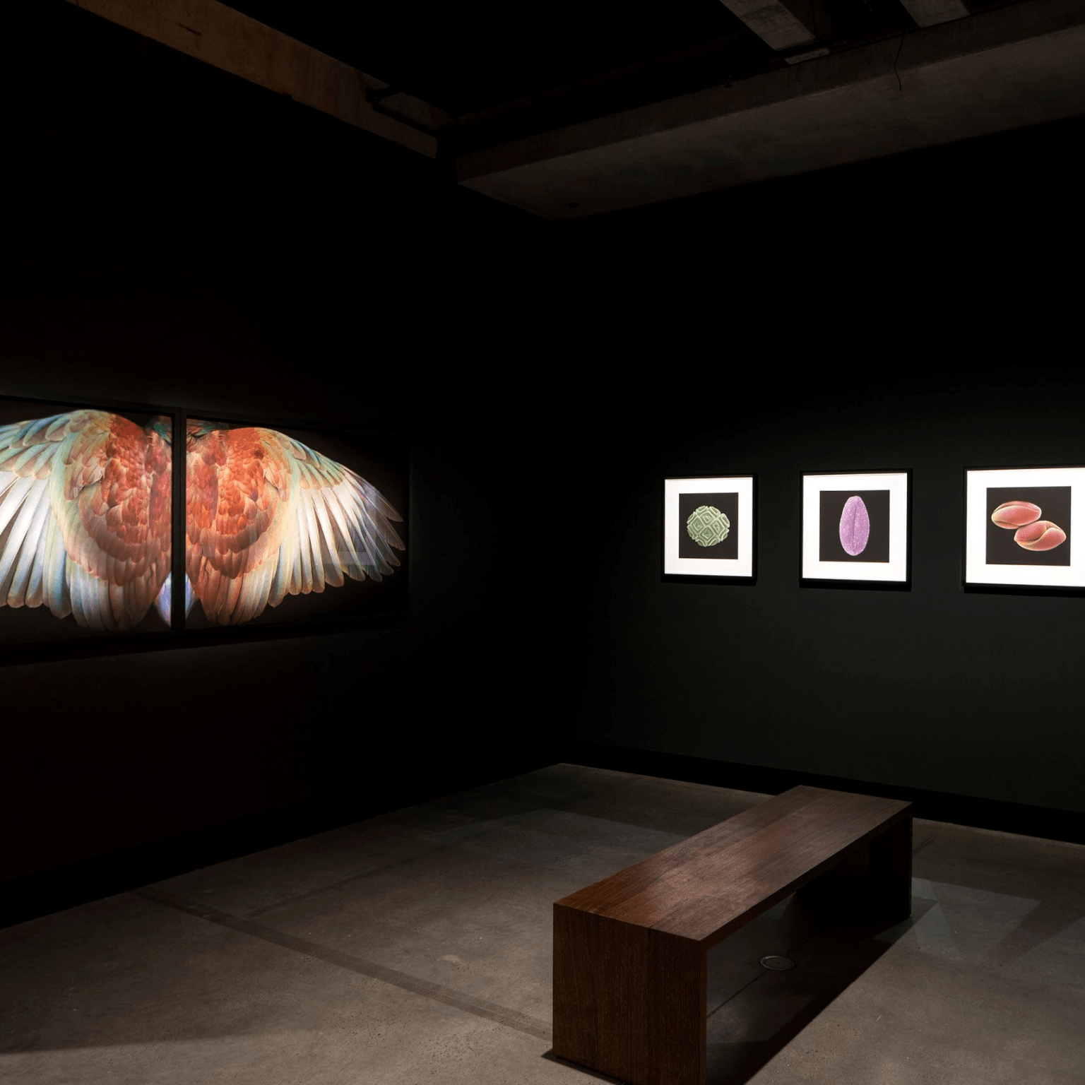 LED Framing Projector Lights for Artwork: Design & Placement Guide ...
