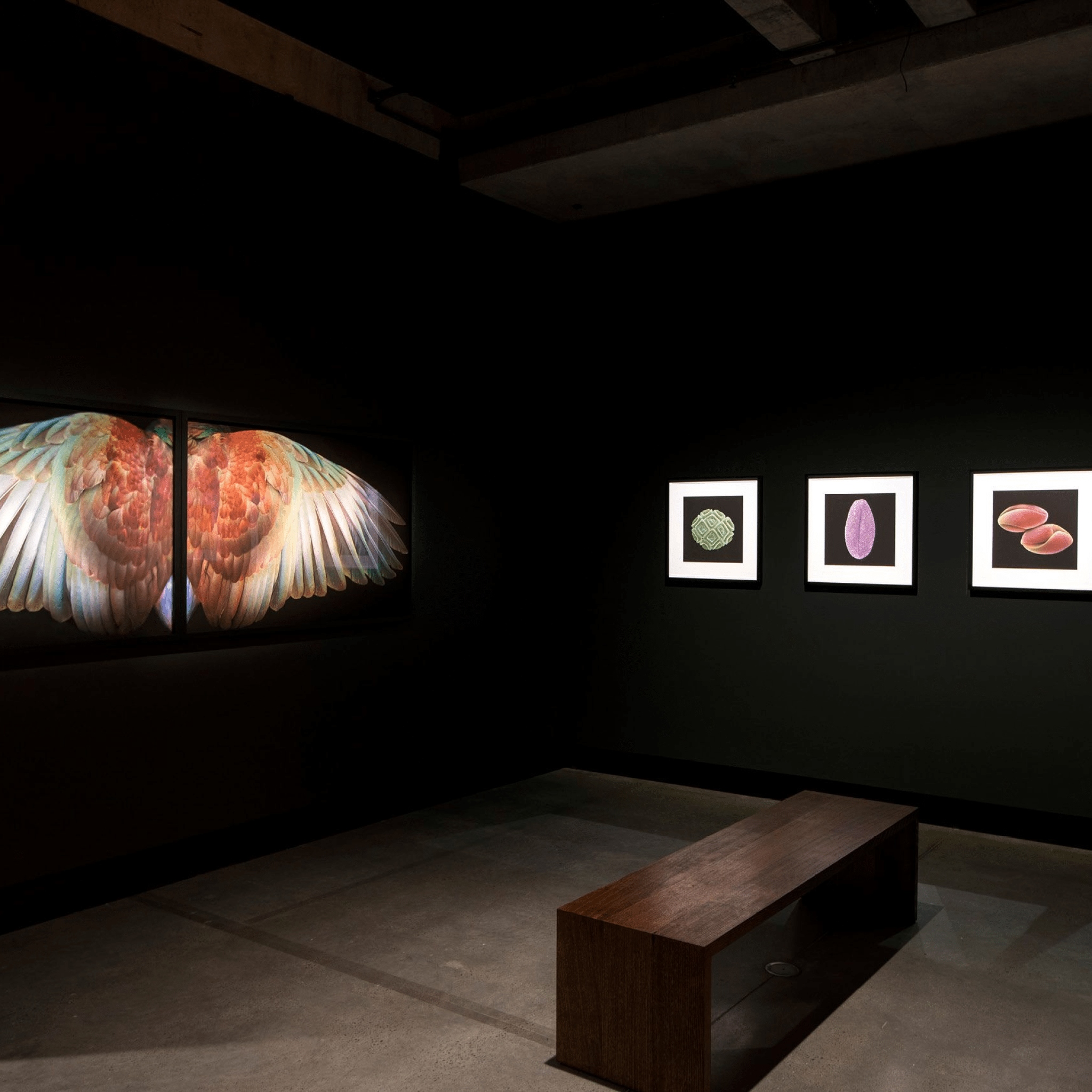 LED Framing Projector Lights for Artwork: Design & Placement Guide ...